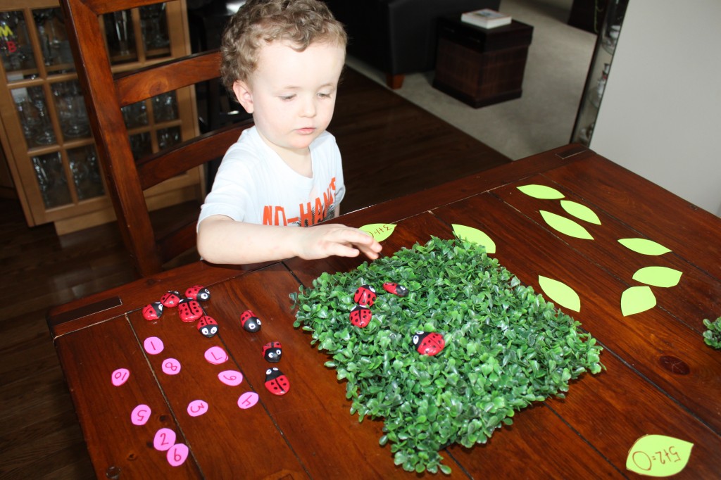 Ladybug Math Game