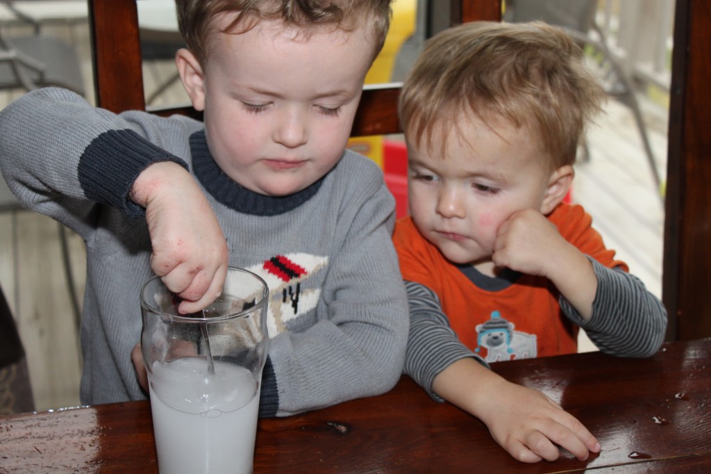 Gummy Worm Experiments