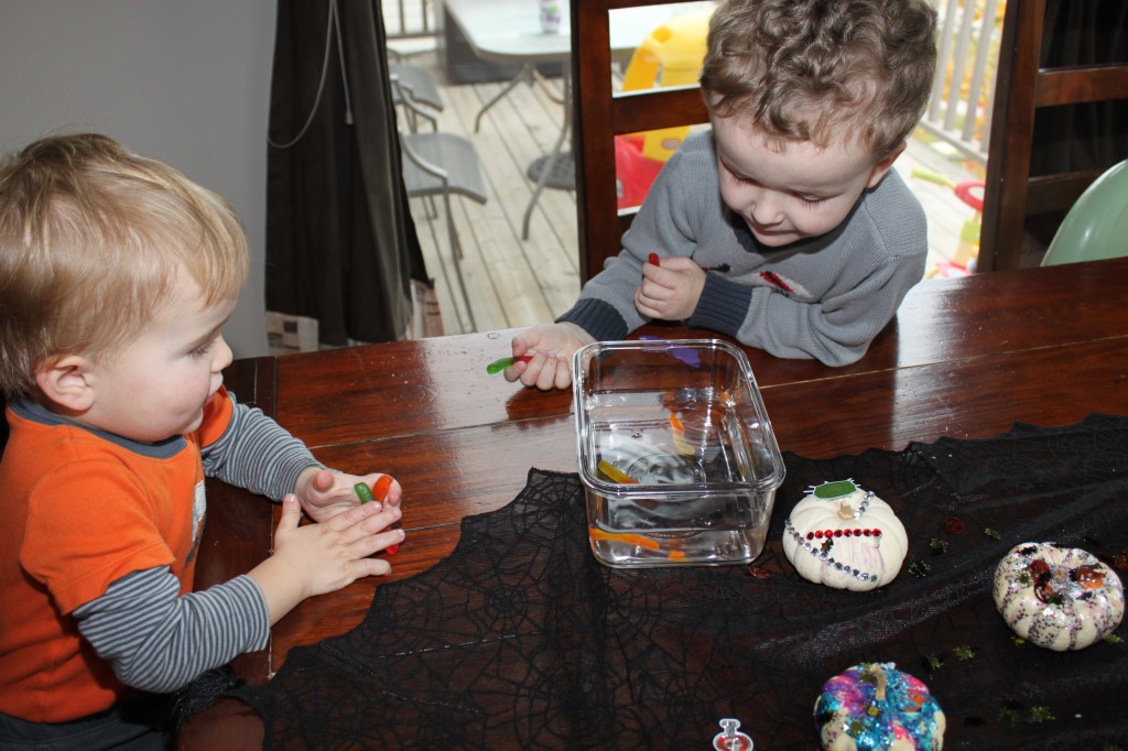 Gummy Worm Experiments