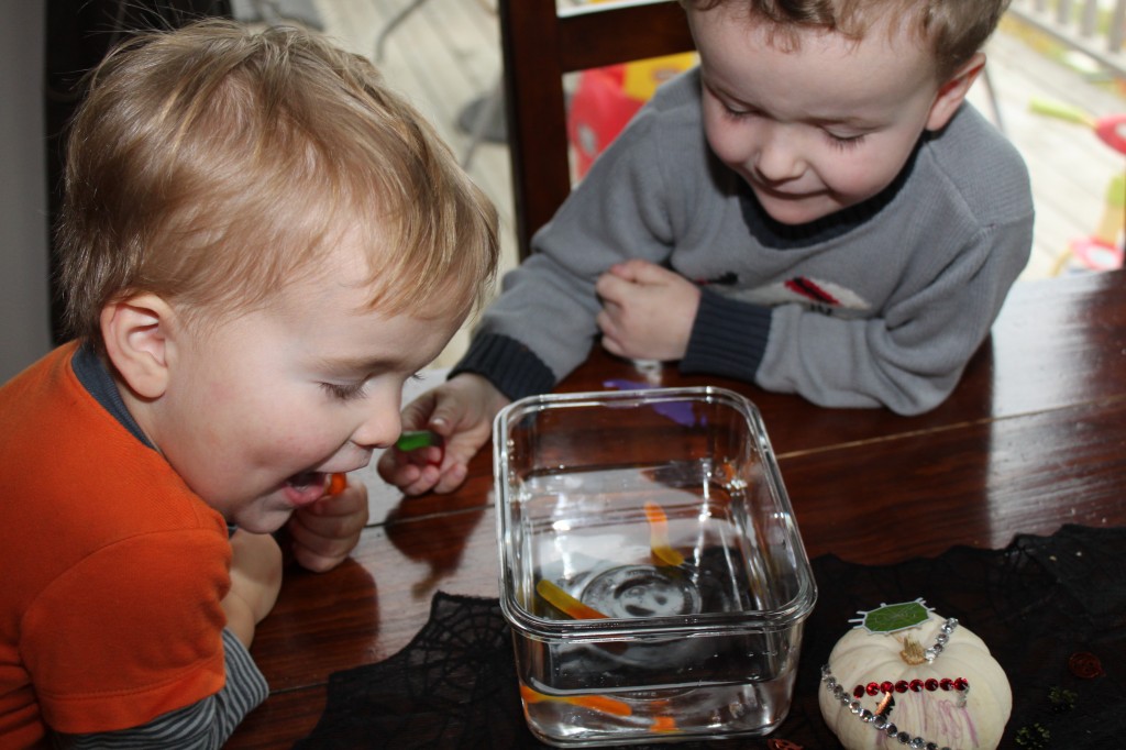 Gummy Worm Experiments