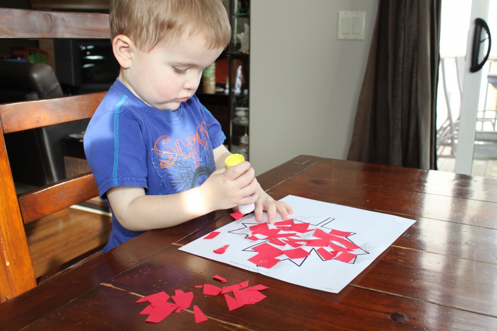 Canada Flag Mosaics