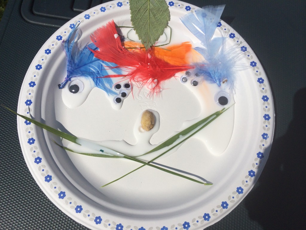 Nature Masks